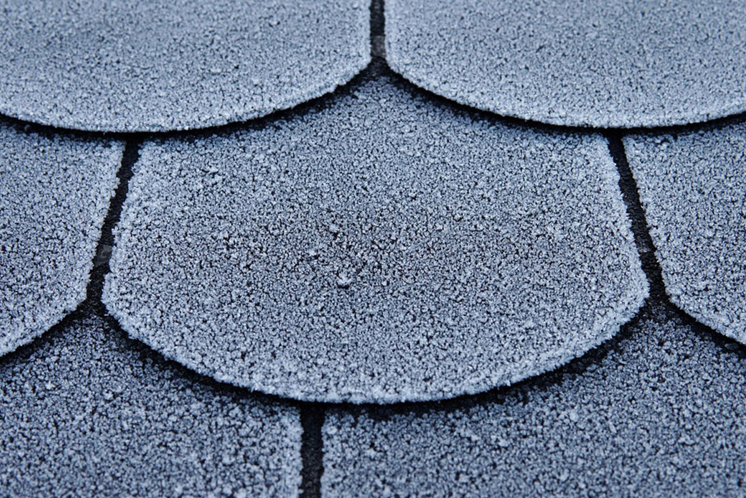 Blog | RAFTRx Roofing + Exteriors | Roofing News